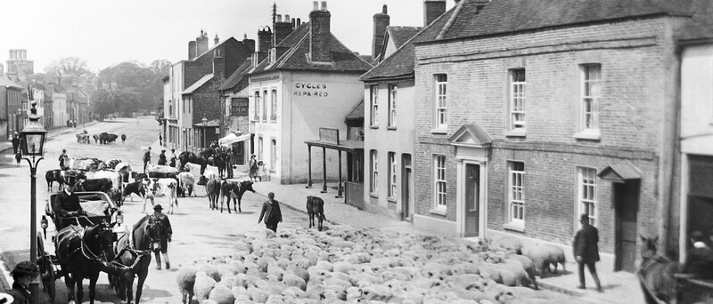 Amersham Museum - Visit Amersham